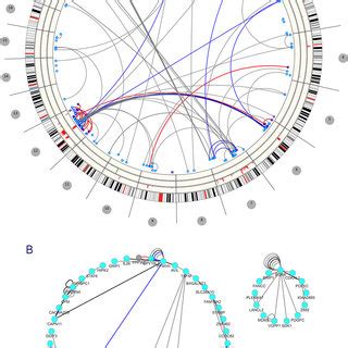 Plotting Genomic Structural Variations The Figures Depict TCGA GBM
