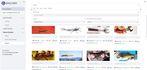 Object Classification With The Caltech 101 Dataset Encord