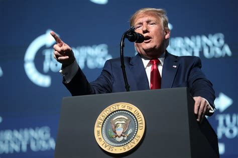 Video Liberal Reporter Attacks Trump Woke Polls