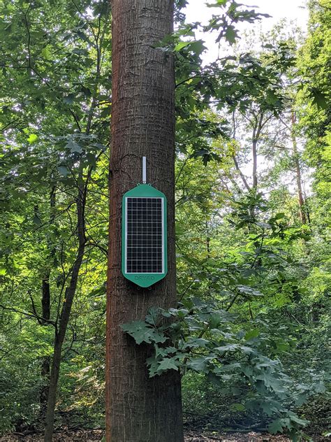 Wildfire Prevention Breakthrough Dryad Networks