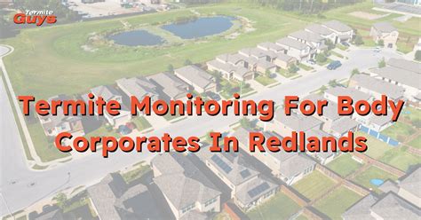 Termite Seasonal Monitoring For Body Corporates Redlands Brisbane Qld