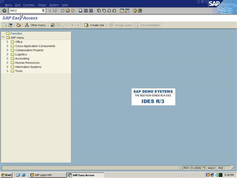 SAP BASIS TECHNICALS SAP LOCK ENTIRES SM