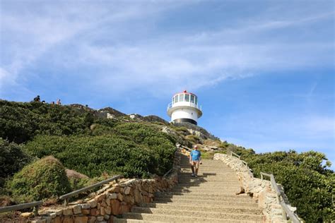 테이블 마운틴 국립공원 세계에서 가장 오래된 산 중 하나 서울 프레스seoul Press