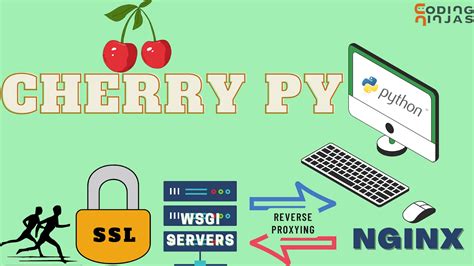 Deploy In Cherrypy Naukri Code 360