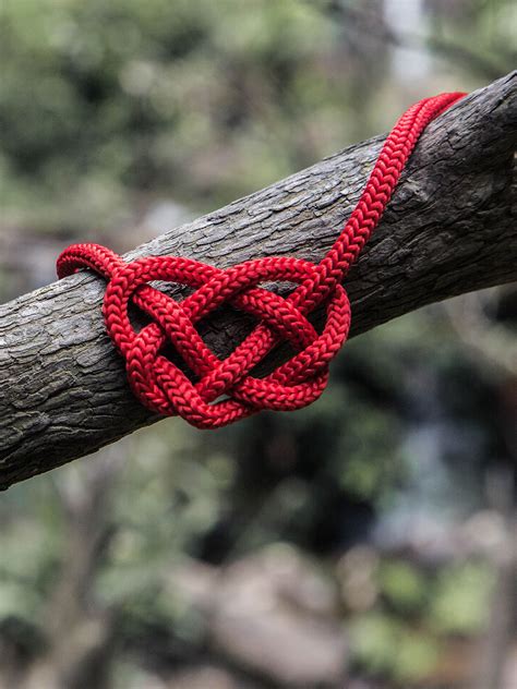 I Want More Sex Than My Partner What Do I Do Without Leaving Dr