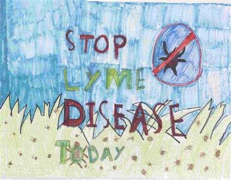 Lyme Poster Gallery Grade 4 Mecdc Maine Dhhs