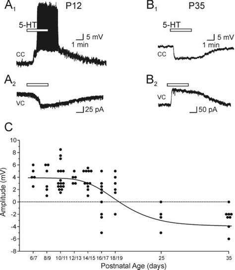 The Effects Of 5 Ht On Membrane Excitability Of Layer V Pyramidal Download Scientific Diagram
