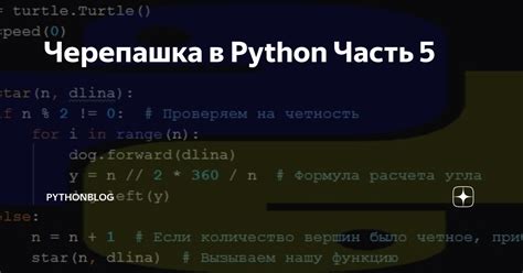 Черепашка в Python Часть 5 Samalex Дзен