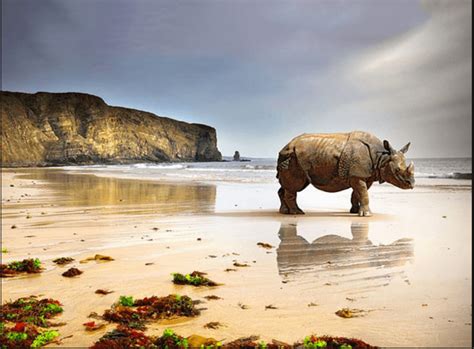 Adult Class Learn Adobe Photoshop Thursday 7 00 8 00 8 Week Course Cyber Garage