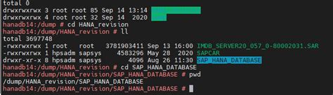 A Step By Step Guide On How To Upgrade HANA DB Revision