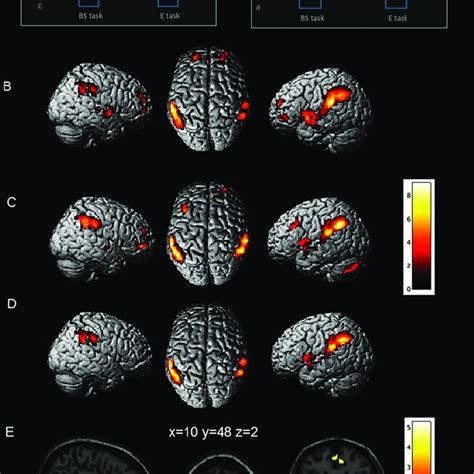 A Behavioral Results Participants Mean Reaction Times Ms On Task