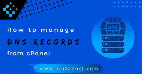 How To Manage Dns Records From Cpanel Ninzahost