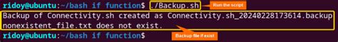 How To Use “if” Statement In Bash Function 7 Examples Linuxsimply