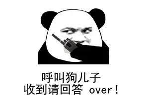 表情包 收到请回答 熊猫头