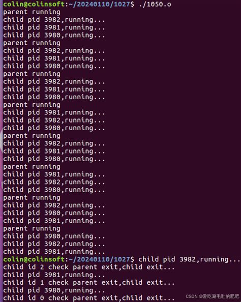 linux高阶——1027—进程间关系相关 linux 进程间关系 csdn博客