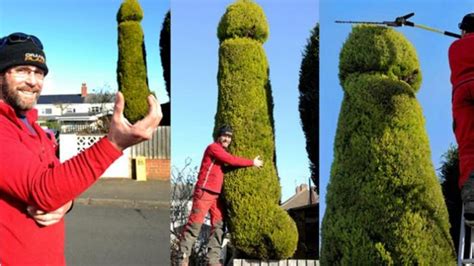 Pohon Penis Ini Menuai Protes Tetangga TribunNews Com