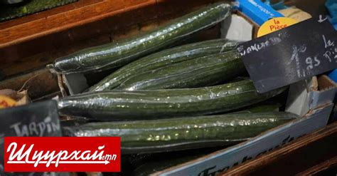 Франц улс жимс хүнсний ногоог хуванцар материалд савлаж боохыг хориглож эхэллээ