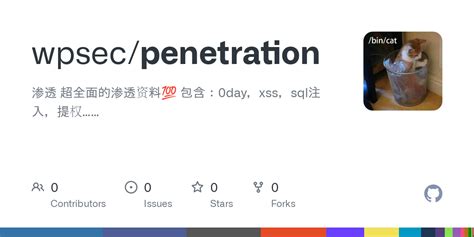 github wpsec penetration 渗透 超全面的渗透资料💯 包含：0day，xss，sql注入，提权……