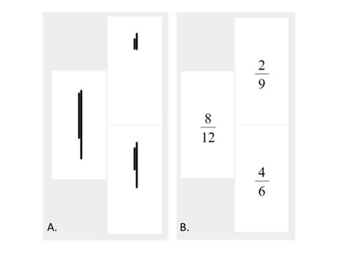 match to sample task a in each non symbolic trial participants had