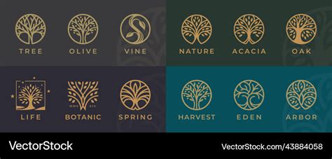 Abstract Tree Of Life Logo Icons Set Royalty Free Vector