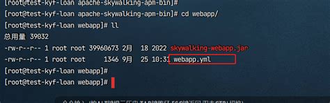 skywalking 安装部署与使用 怪圣卡杰 博客园