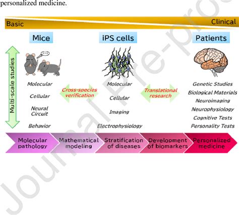 Figure 1 From Modeling Schizophrenia With Ips Cell Technology And Disease Mouse Models