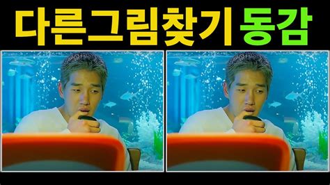 다른그림찾기 2개씩만 찾아도 두뇌건강 양호 Youtube