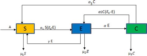 The Flowchart Of Unemployment Model 1 Download Scientific Diagram