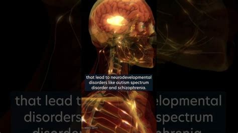 New Microscope Footage Brings Us Closer To Understanding The Central