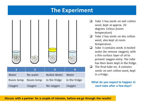 Plant Reproduction Pt 3 Germination For Section 3A Edexcel IGCSE Biology Teaching Resources