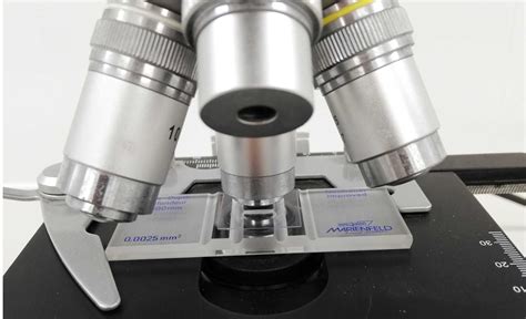 Lab Microscope Slide