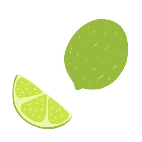 Premium Vector Whole And Slice Lime In Cartoon Flat Style Hand Drawn