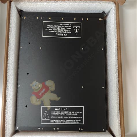 TRICONEX System Digital Input Output Module Xiamen Xiongba E Commerce Co Ltd