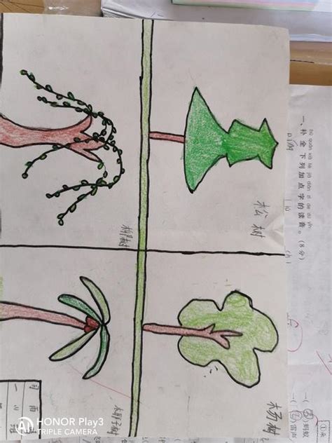 植物过冬的图片简笔画（汇总14张） 简笔画图片大全