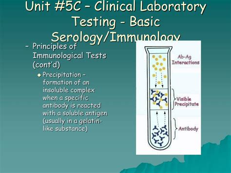 Serology