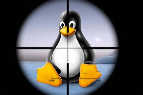 Craig Gibb On Linkedin Root Access Vulnerability In Glibc Library Impacts Many Linux Distros