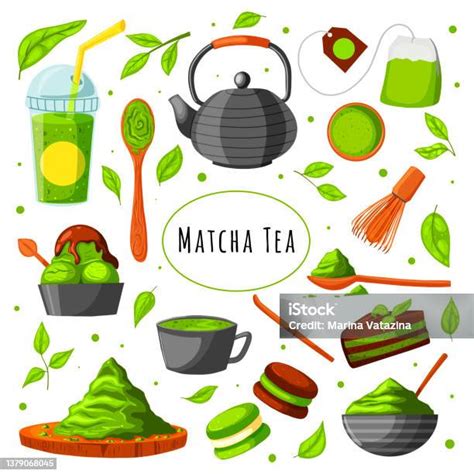 다양한 말차 제품 말차 분말 마카롱 차 냄비 대나무 숟가락 차 잎 손으로 그린 벡터 세트입니다 컬러 트렌디 한 일러스트 플랫