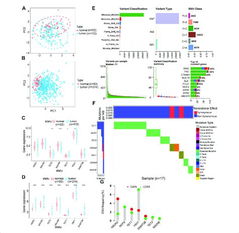M5c Regulator Genes Analysis A B Pca Analysis Of Geo And Tcga