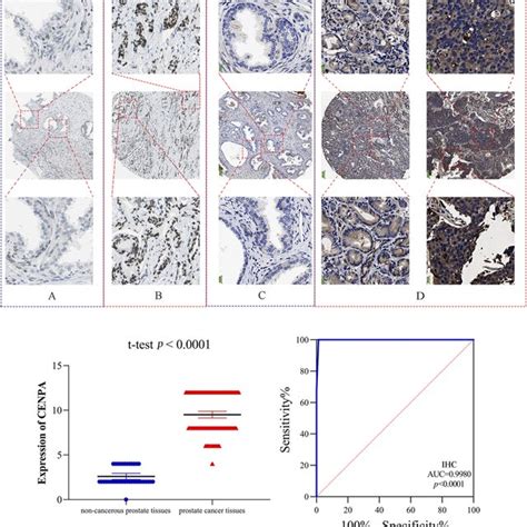 Enrichment Analysis And Protein‐protein Interaction Ppi Analysis A