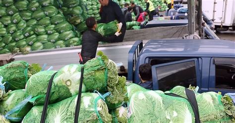 엄궁농산물도매시장 김장배추 나눔