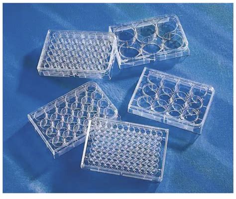 Corning 3548 48 Well Cell Culture Plate Tc Treated Flat Bottom W Lid