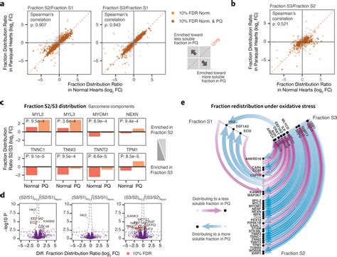 Protein Fraction Redistribution Upon Oxidative Stress A The Majority Download Scientific