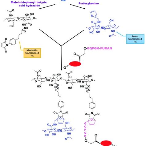 Chemical Structure Of Dexamethasone A And Dexamethasone Sodium Download Scientific Diagram