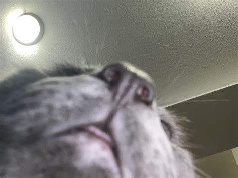 Create A Rp Characters Tier List TierMaker