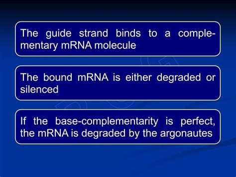 Rna Interference Ppt