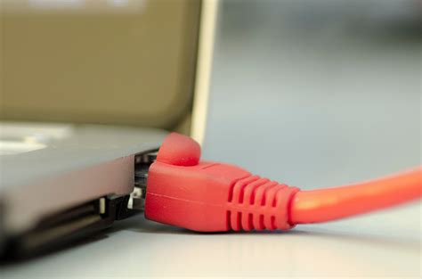 근접 촬영 이더넷 케이블이 노트북에 Lan 포트에 연결 0명에 대한 스톡 사진 및 기타 이미지 0명 네트워크 연결 플러그 노트북 Istock