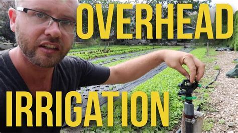 In Focus Overhead Irrigation Irrigation Water Garden Overhead