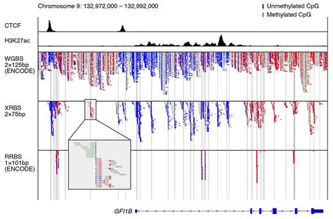 Broad Institute Of Mit And Harvard On Linkedin Extended Representation Bisulfite Sequencing Of
