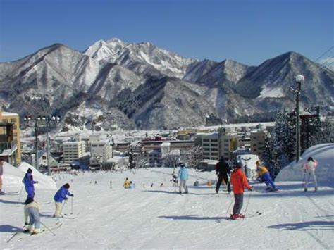 一本杉スキー場 雪国観光圏