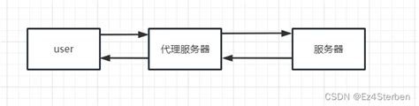 【反向代理】反向代理及其作用本地反代什么意思 Csdn博客 【反向代理】反向代理及其作用本地反代什么意思 Csdn博客